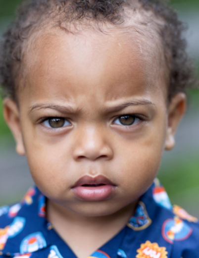 The Zen-Martin Project